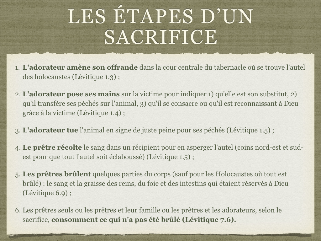 Les sacrifices (1) – Creusons la Bible